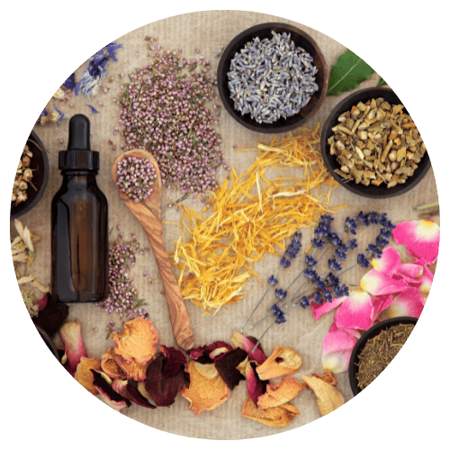 Alternative Medicine Explained