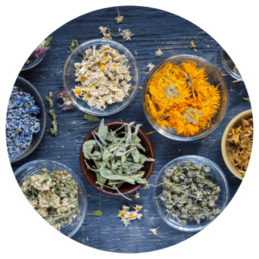 Alternative Medicine Explained